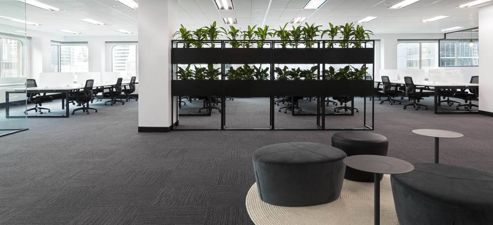 Cadigal Launches A New Brand