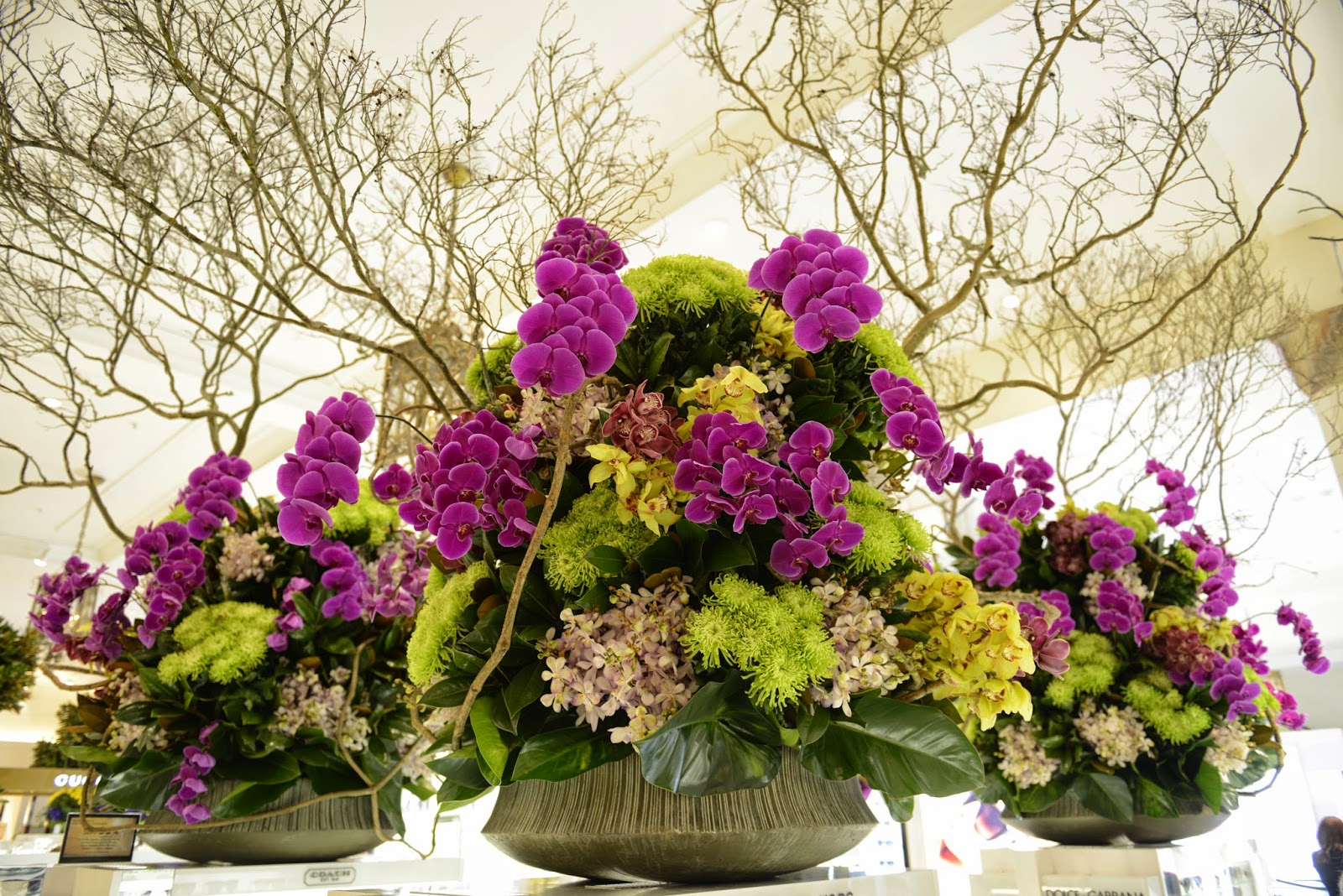 Top 10 Things To Do in Sydney in Spring