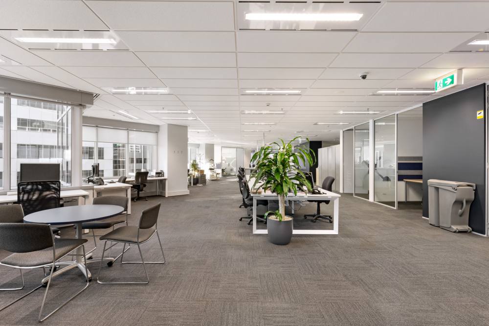 The Zenith, 821 Pacific Highway | Cadigal | Pure Office Leasing Sydney