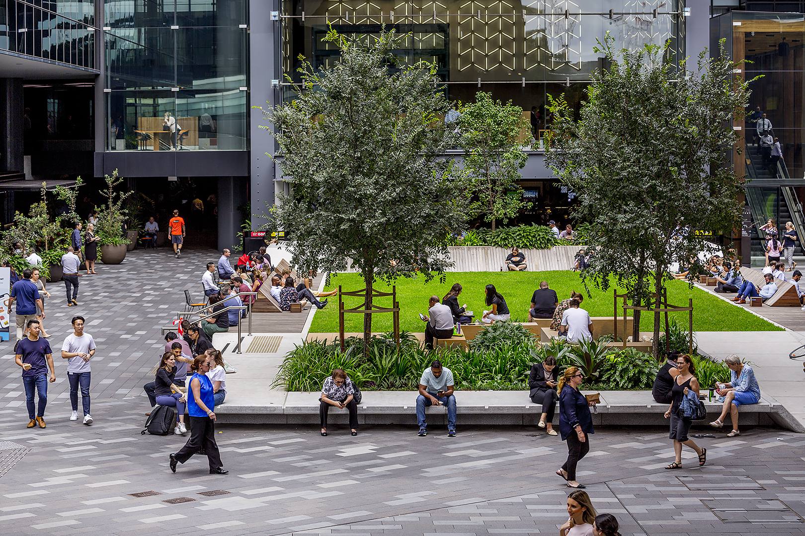 207 Kent Street | Cadigal | Pure Office Leasing Sydney