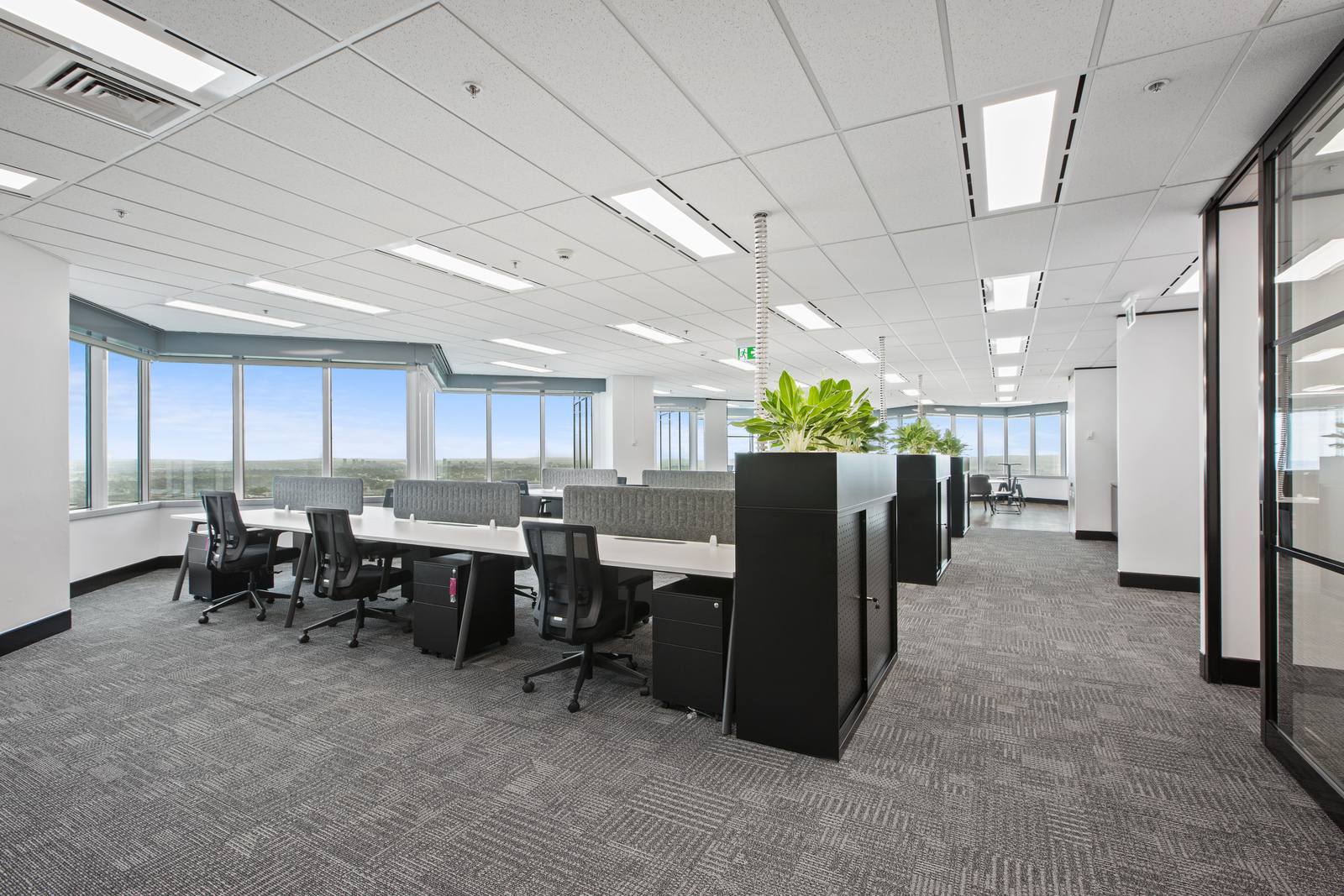 The Zenith, 821 Pacific Highway | Cadigal | Pure Office Leasing Sydney