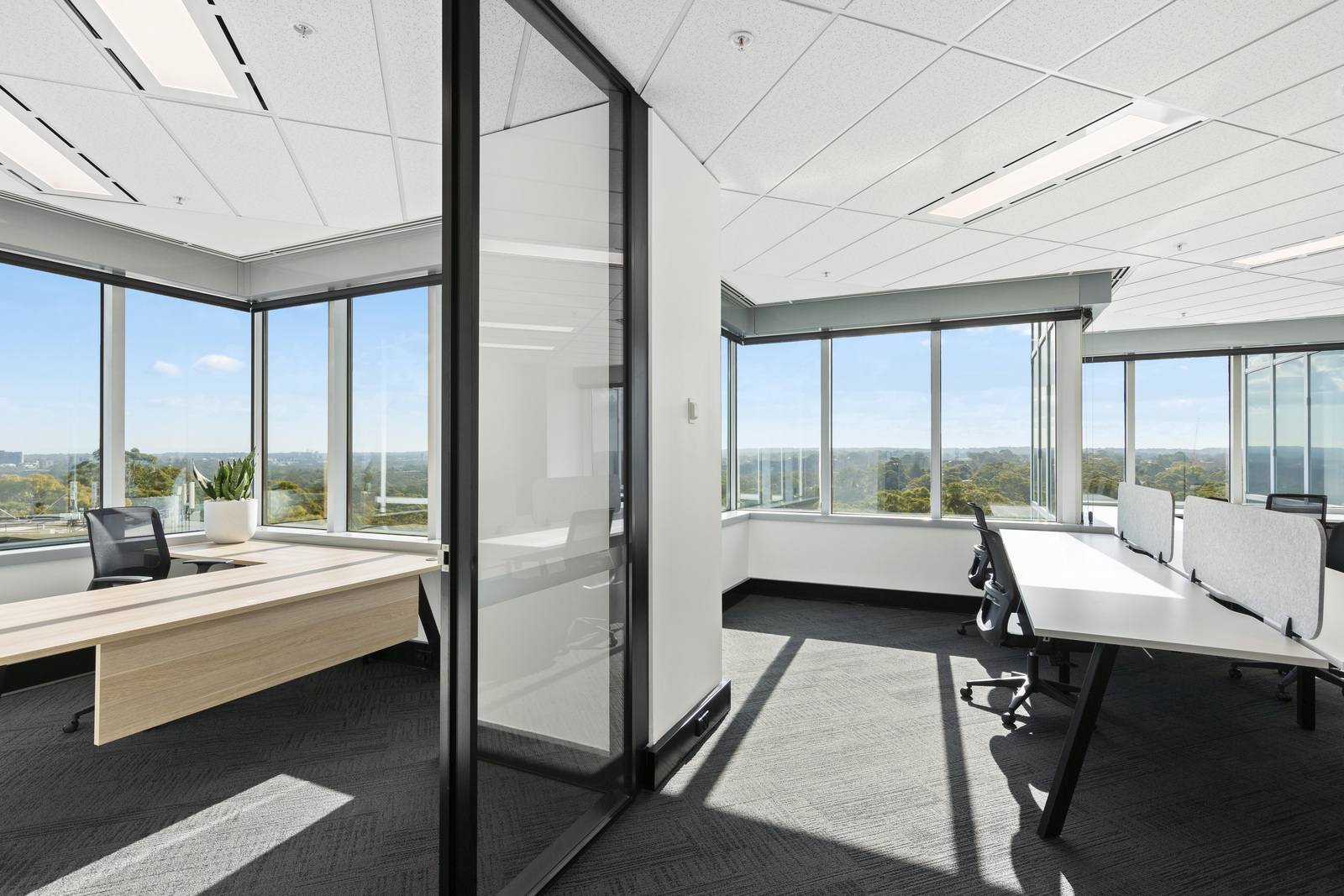 The Zenith, 821 Pacific Highway | Cadigal | Pure Office Leasing Sydney