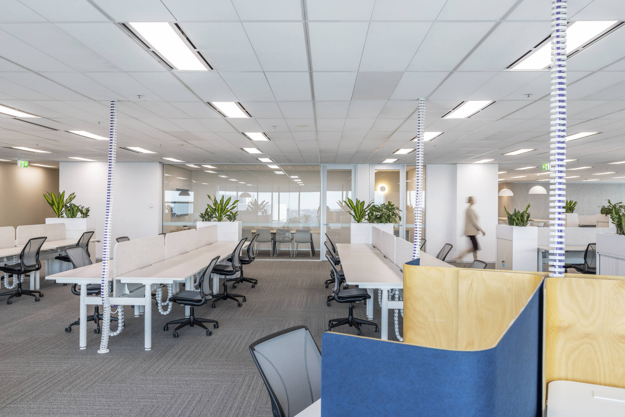 World Square, 680 George Street | Cadigal | Pure Office Leasing Sydney