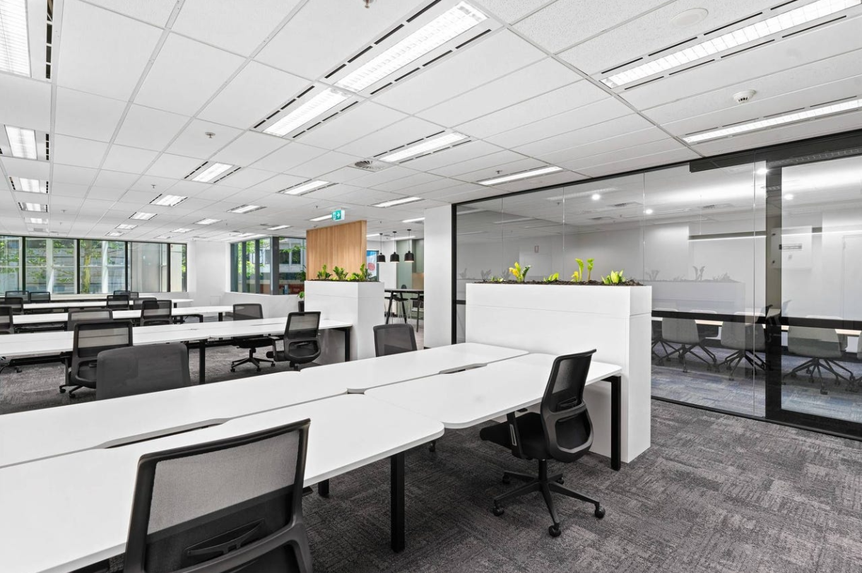 141 Walker Street | Cadigal | Pure Office Leasing Sydney