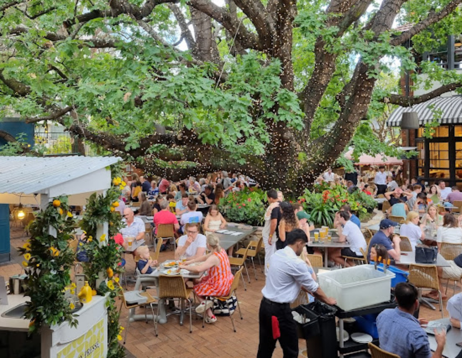 139 Military Road | Cadigal | Pure Office Leasing Sydney