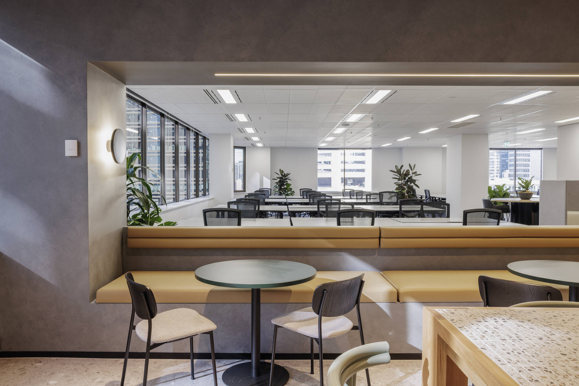 15 Castlereagh Street | Offices For Lease Sydney | Cadigal