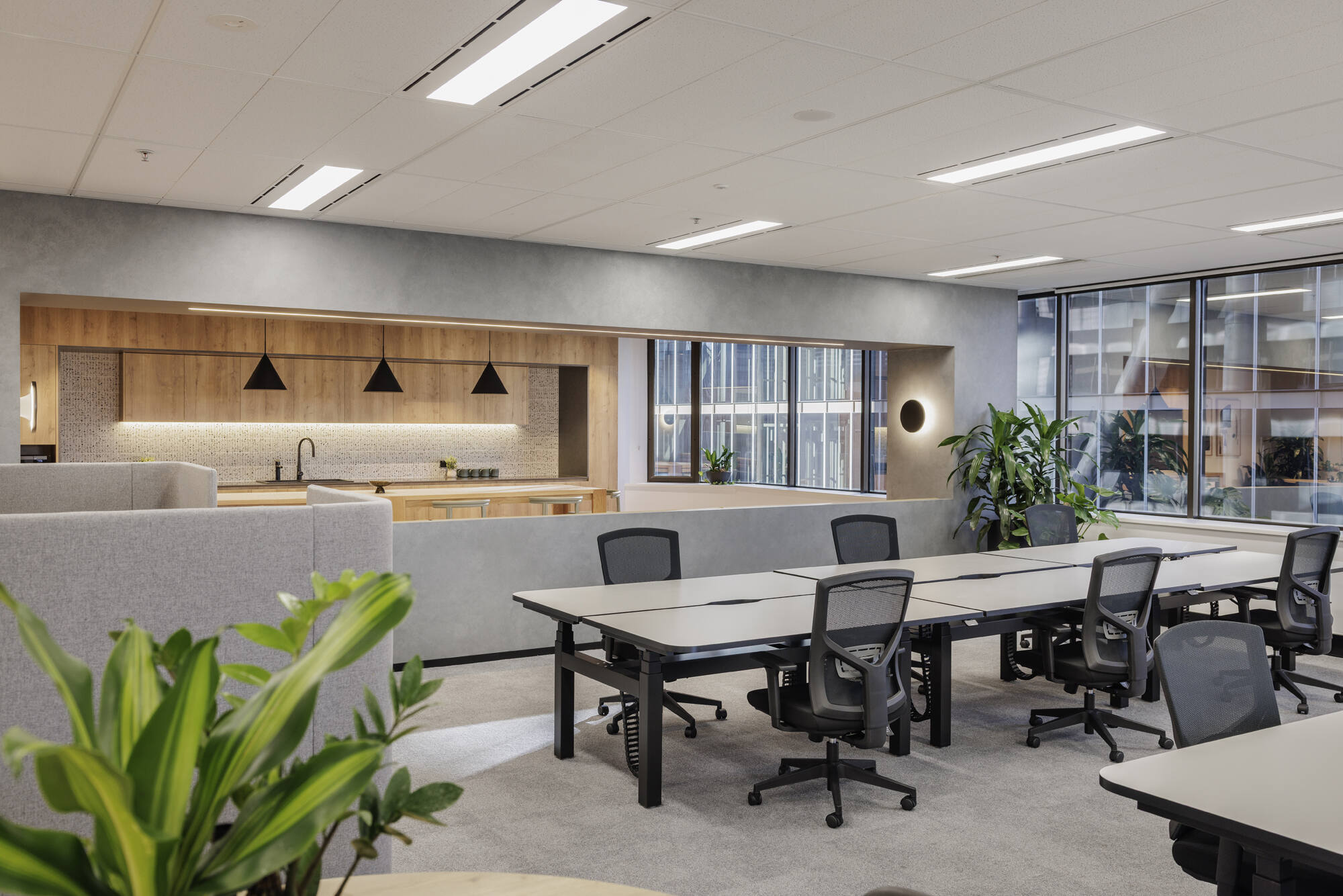 15 Castlereagh Street | Offices For Lease Sydney | Cadigal
