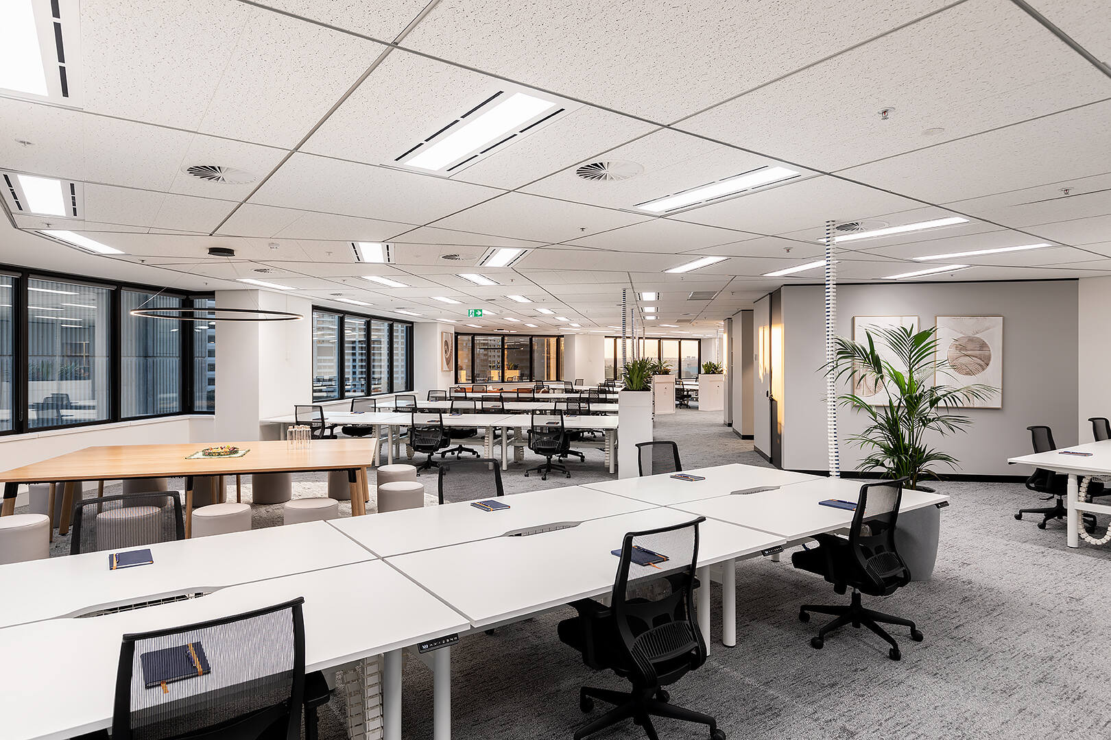 255 George Street | Cadigal | Pure Office Leasing Sydney