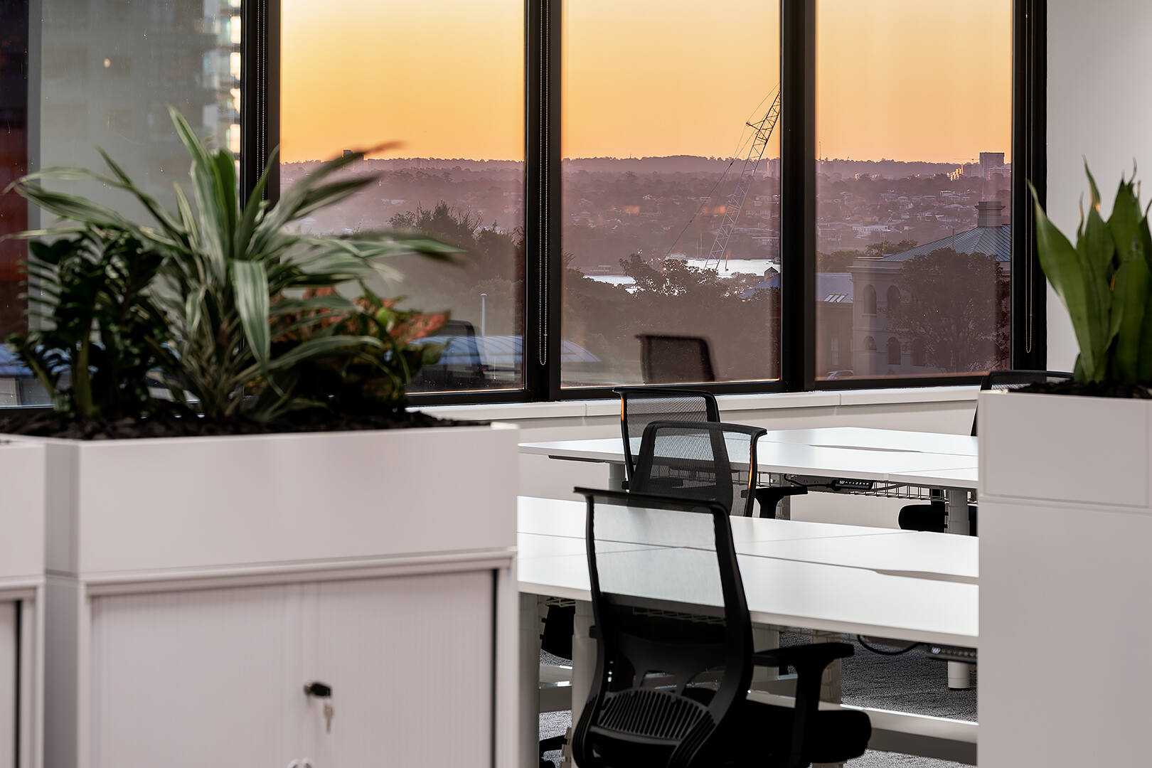 255 George Street | Cadigal | Pure Office Leasing Sydney